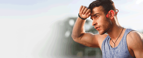 Wired Headphones with Mic - Call Center Headsets – Wantek